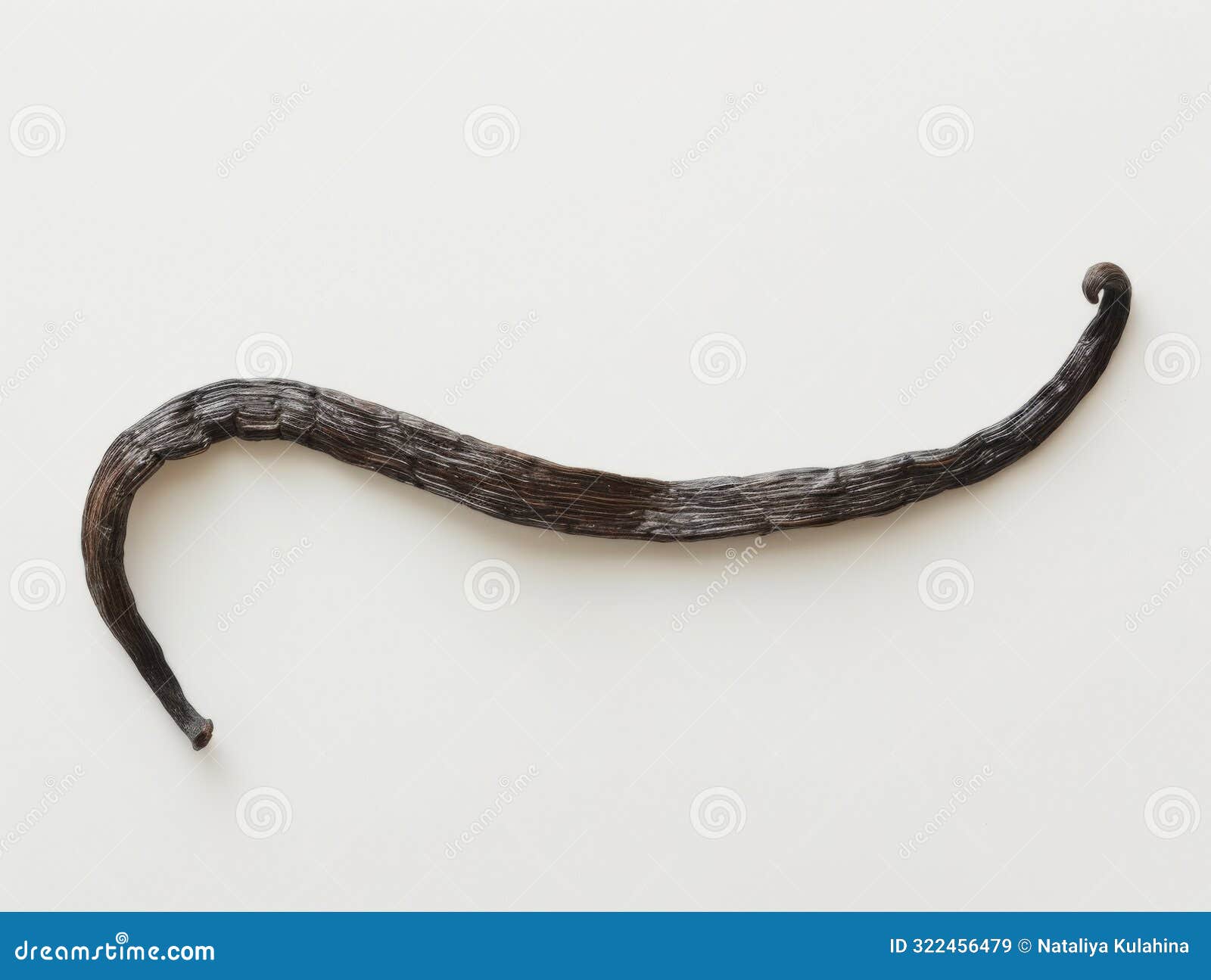 Curved Vanilla Bean Pod on a White Background Stock Image - Image of ...