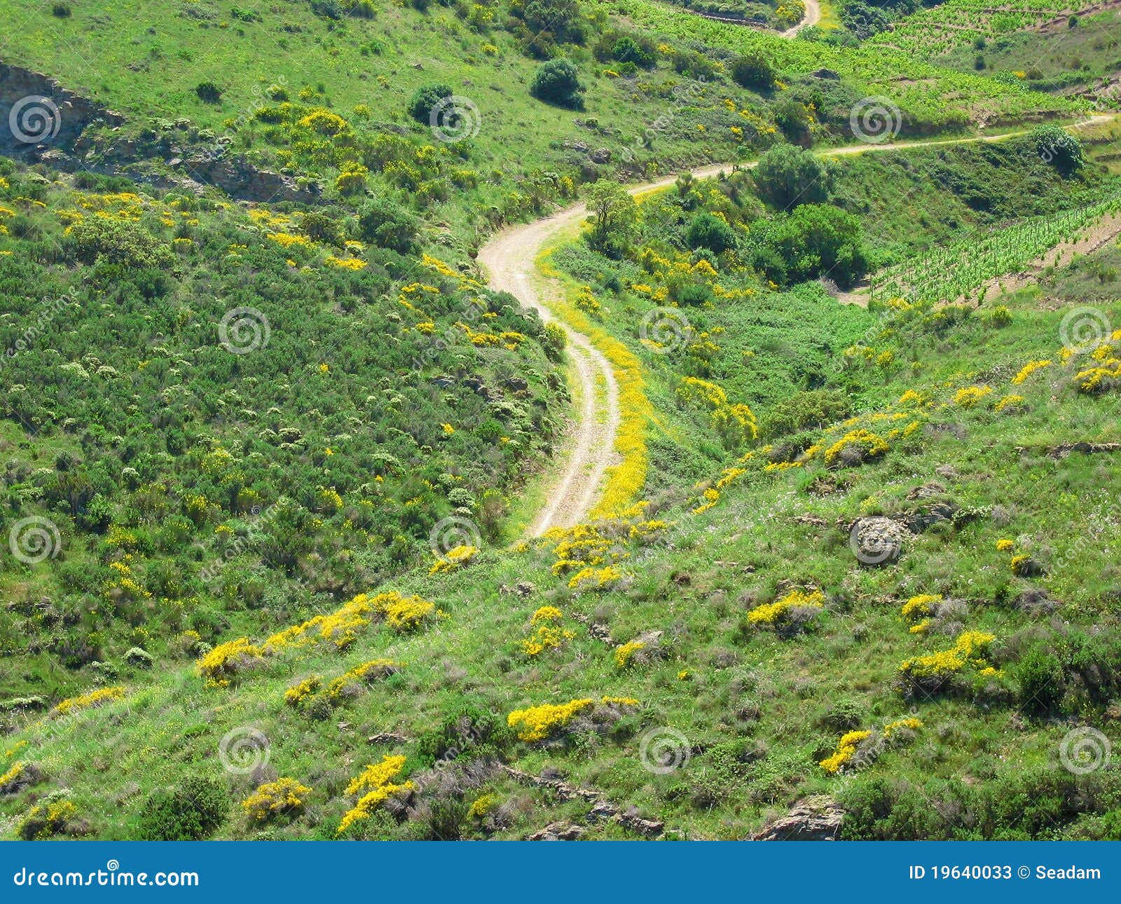 Curved way stock image. Image of peaceful, languedoc - 19640033