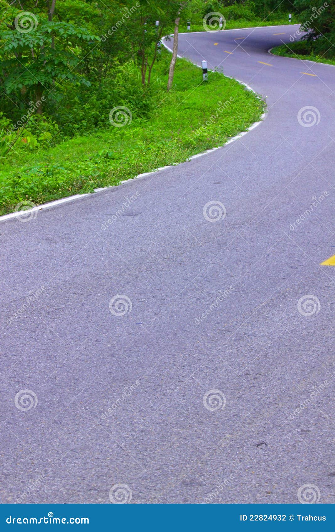 Curved way in the forest stock photo. Image of flora - 22824932