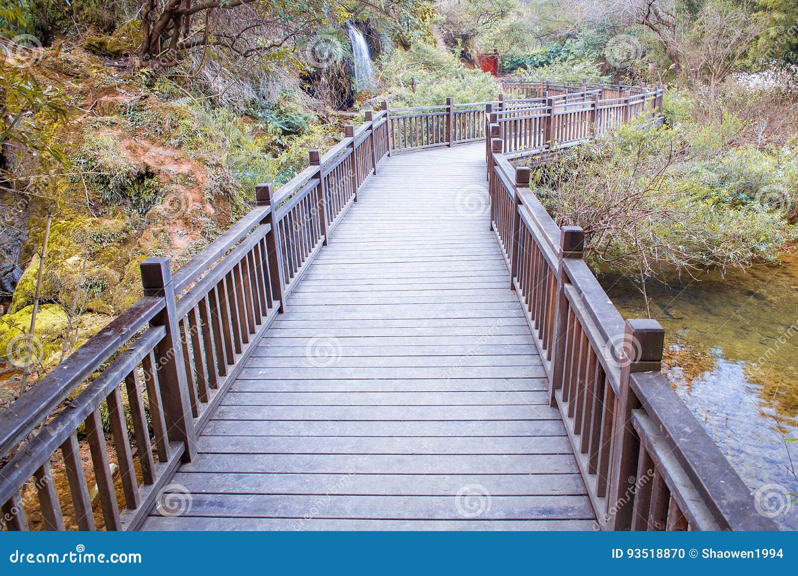 Curved Wood path in autumn stock photo. Image of paths - 93518870