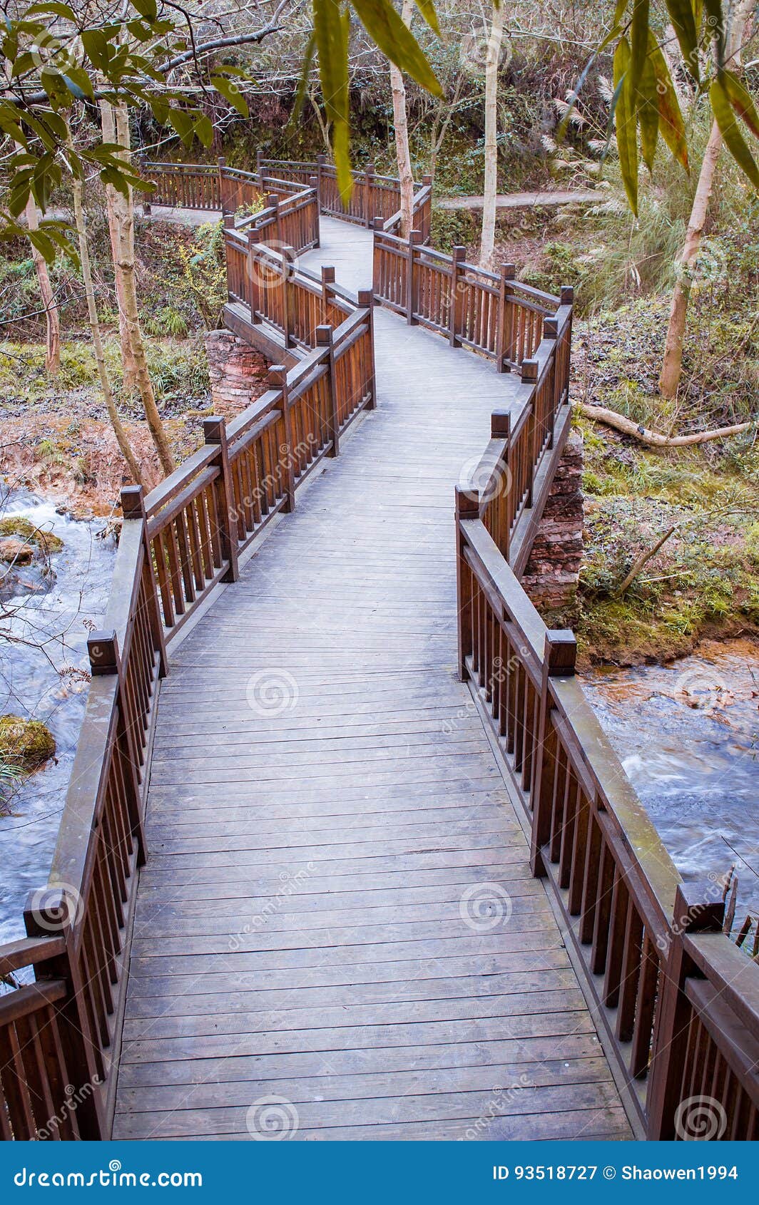 Curved Wood path stock image. Image of green, background - 93518727