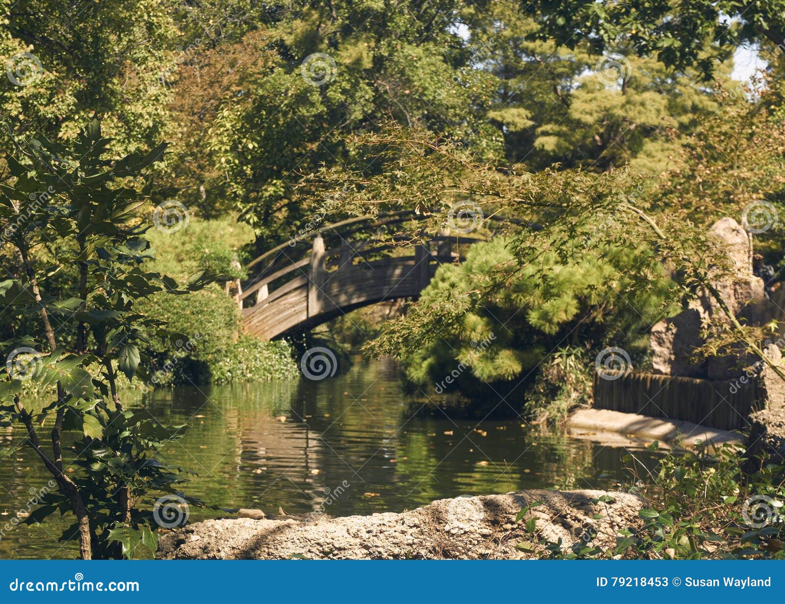 Curved wooden bridge stock image. Image of vegetation - 79218453