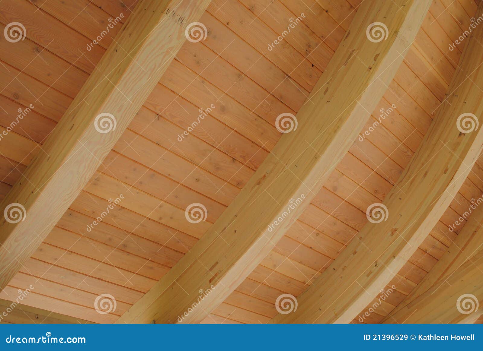 Curved Wood Ceiling