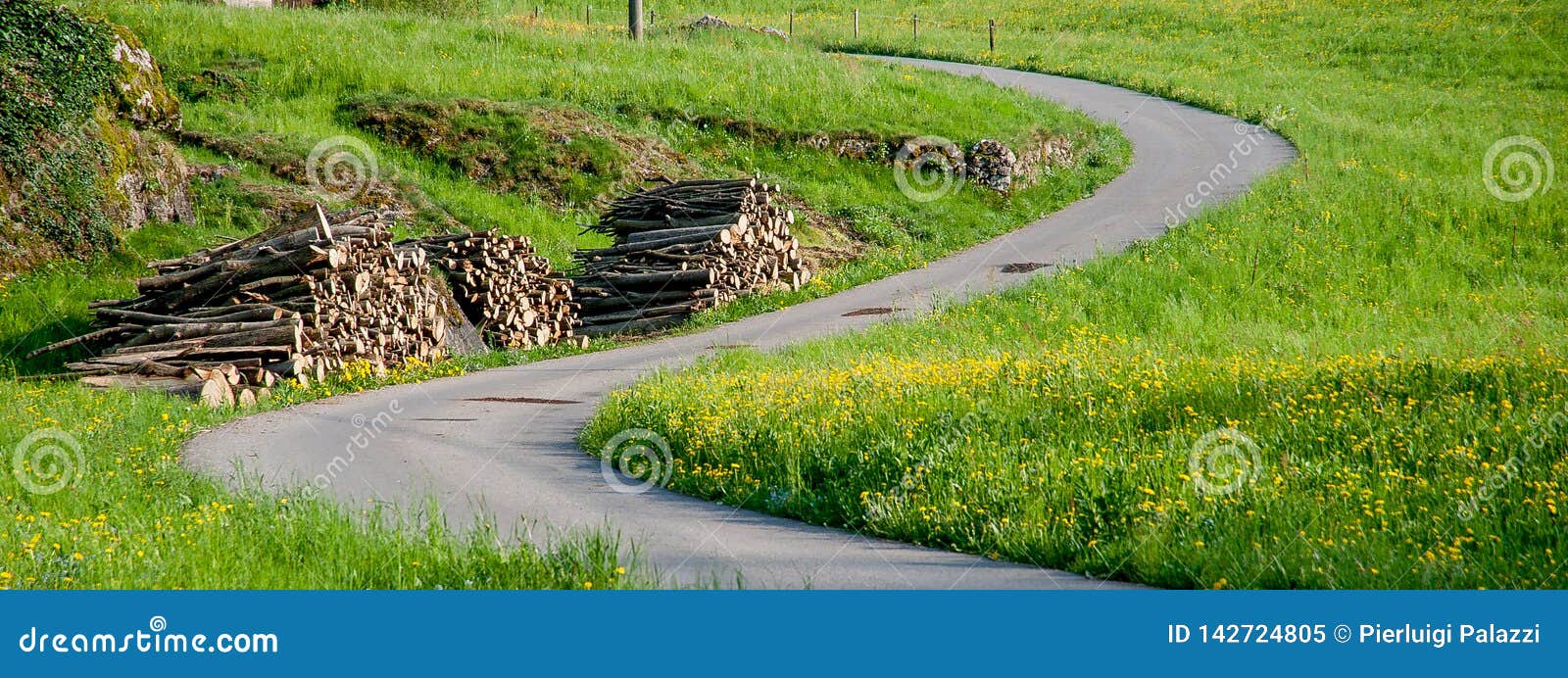 Curves in Country Road with Spring Flowers I Stock Image - Image of ...