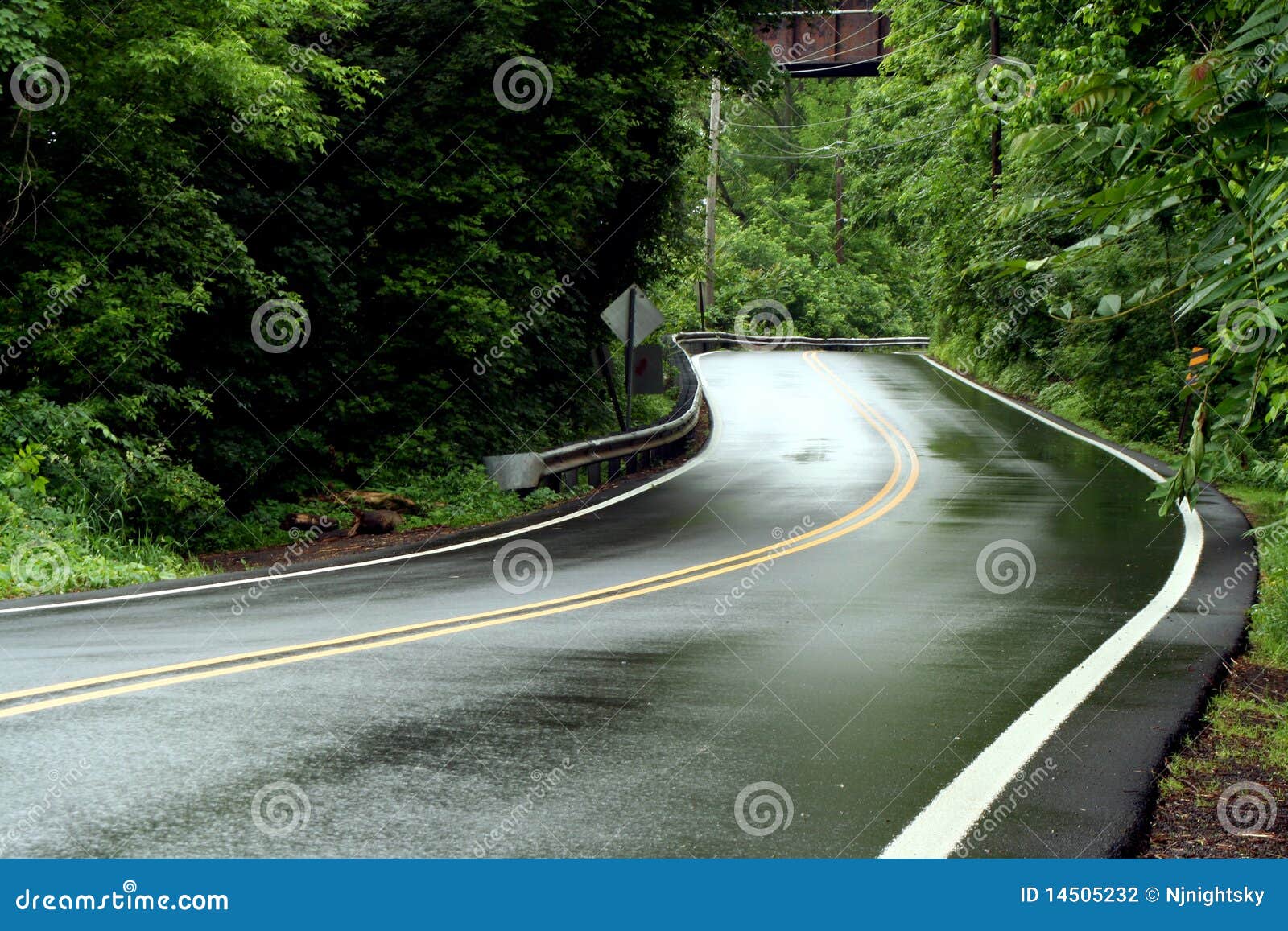 Curvey rural road stock photo. Image of rural, curvy - 14505232