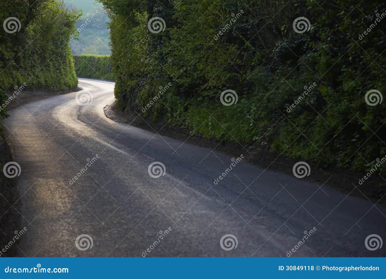 Curving Country Road through Thick Forest Stock Photo - Image of ...