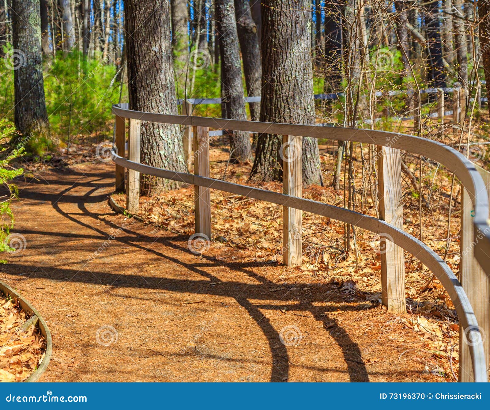 Curving Fence on Winding Forest Path Stock Photo - Image of curving ...