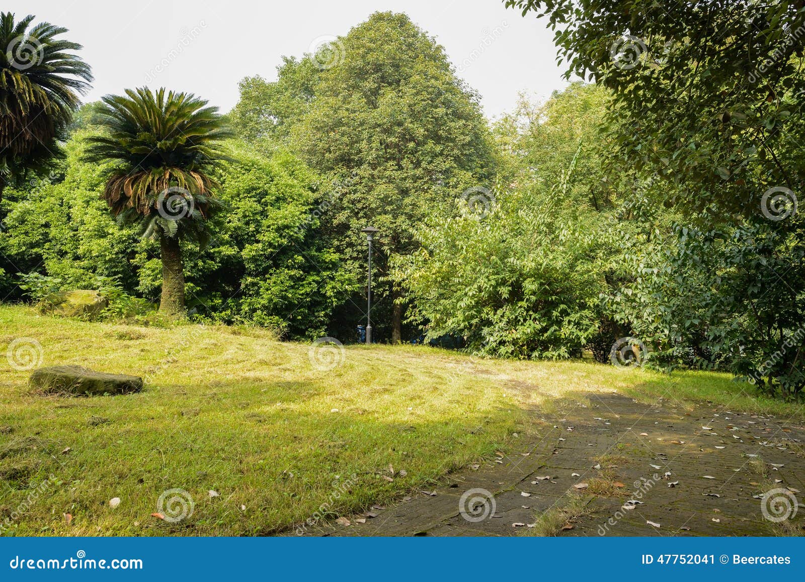 Curving Flagstone Pavement in Grassy Lawn on Sunny Day Stock Image ...