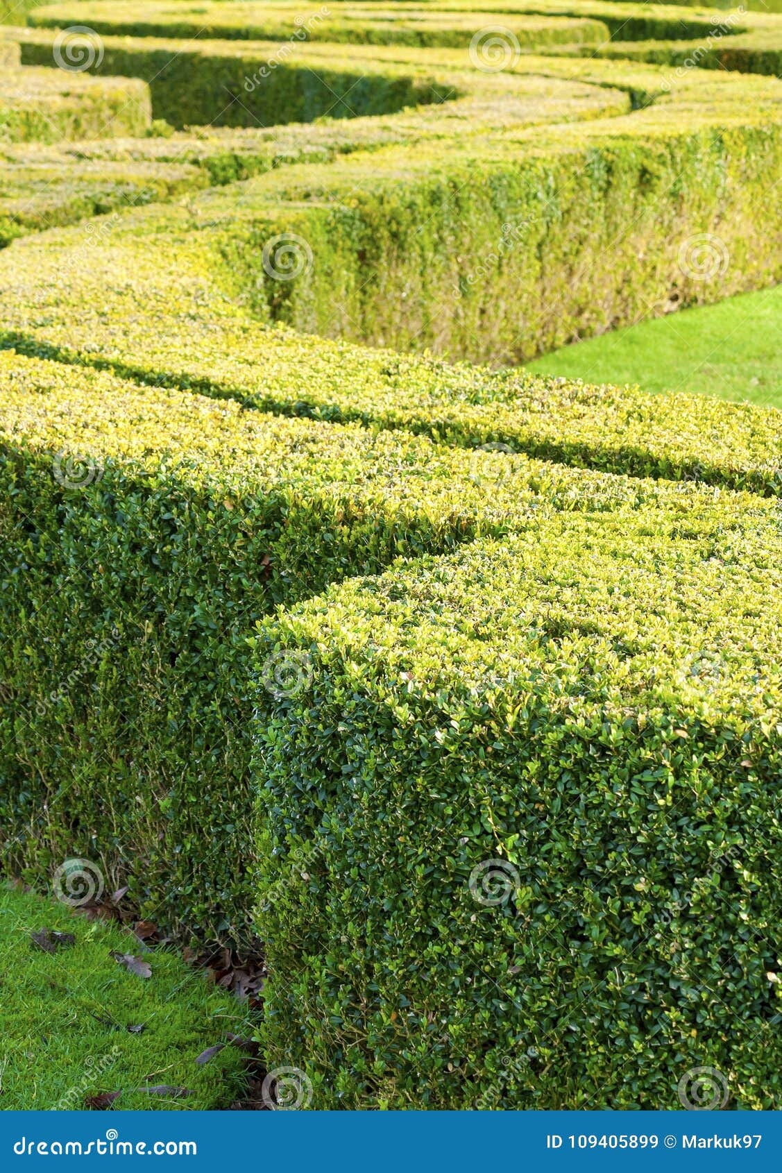 Curving Hedge and Lawn stock image. Image of shaped - 109405899