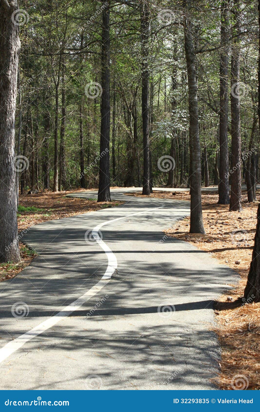 Curving path stock image. Image of shadows, paved, curving - 32293835