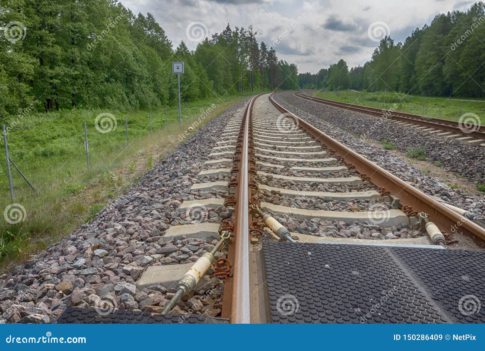 Curving Railroad Track through the Forest Stock Image - Image of ...