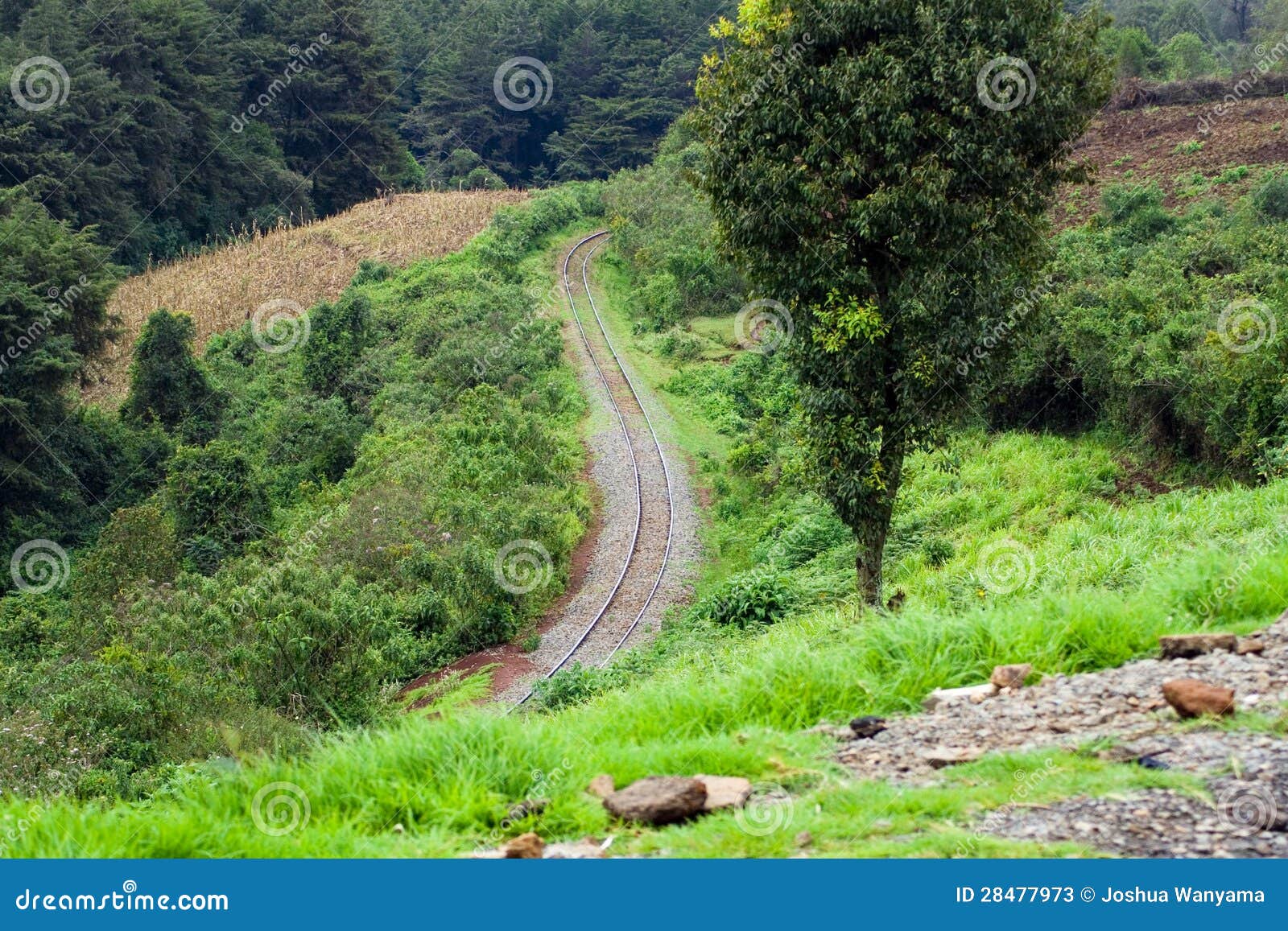 Curving Railway Line stock image. Image of landscape - 28477973