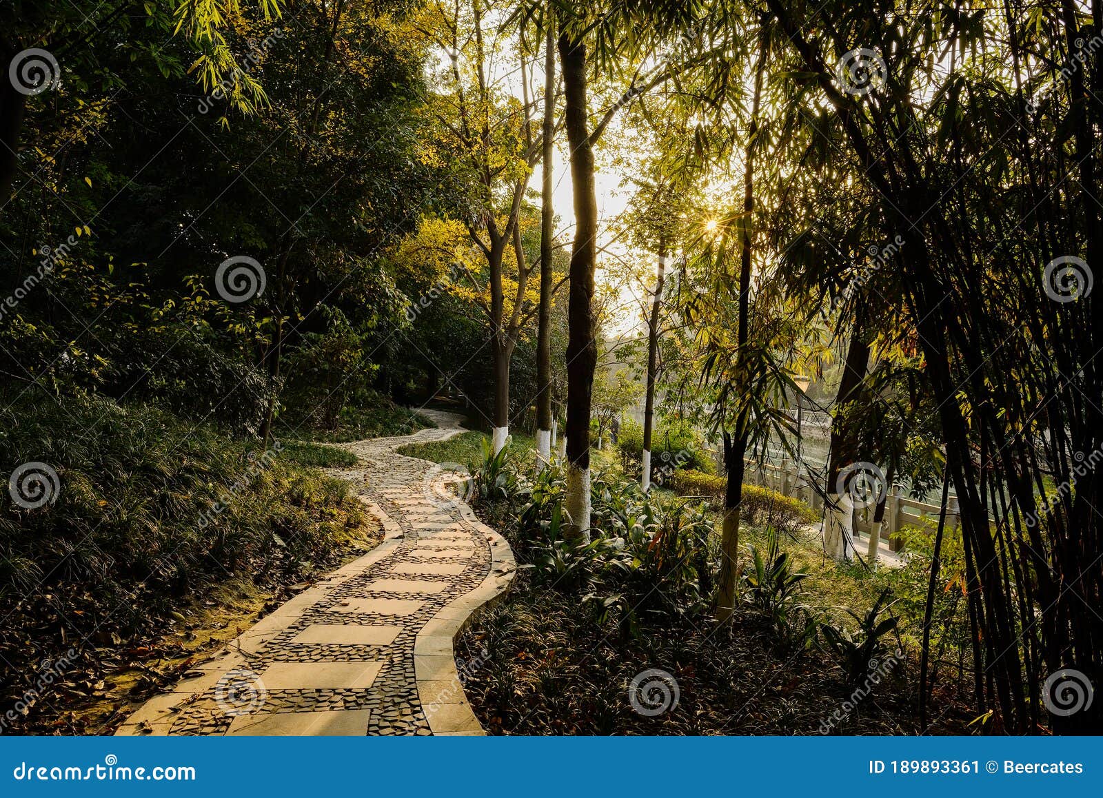 Curving Riverside Path in Trees in Late Afternoon Stock Image - Image ...