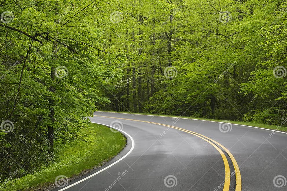 Curving road stock photo. Image of leaves, lane, highway - 9899084