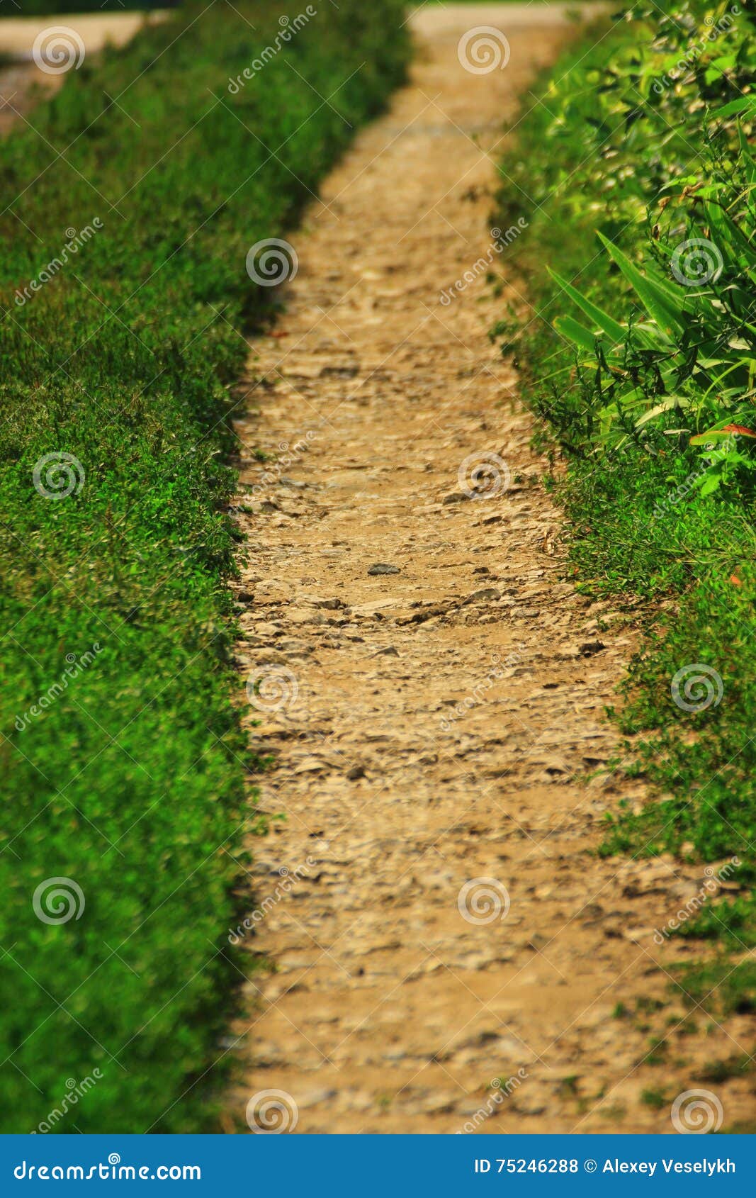 Curving rocky path stock photo. Image of summer, path - 75246288
