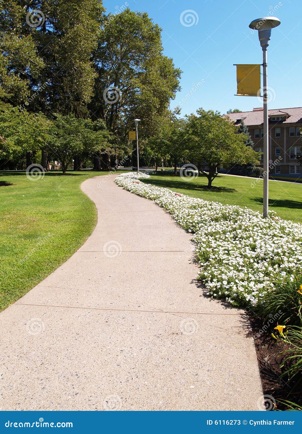 Curving Sidewalk on a College Campus Stock Image - Image of flowers ...