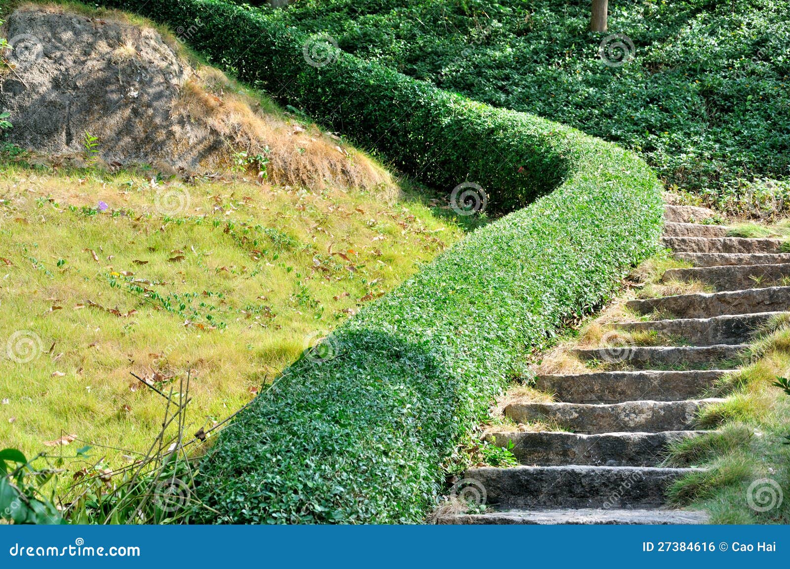 Curving stage stock photo. Image of green, process, yellow - 27384616