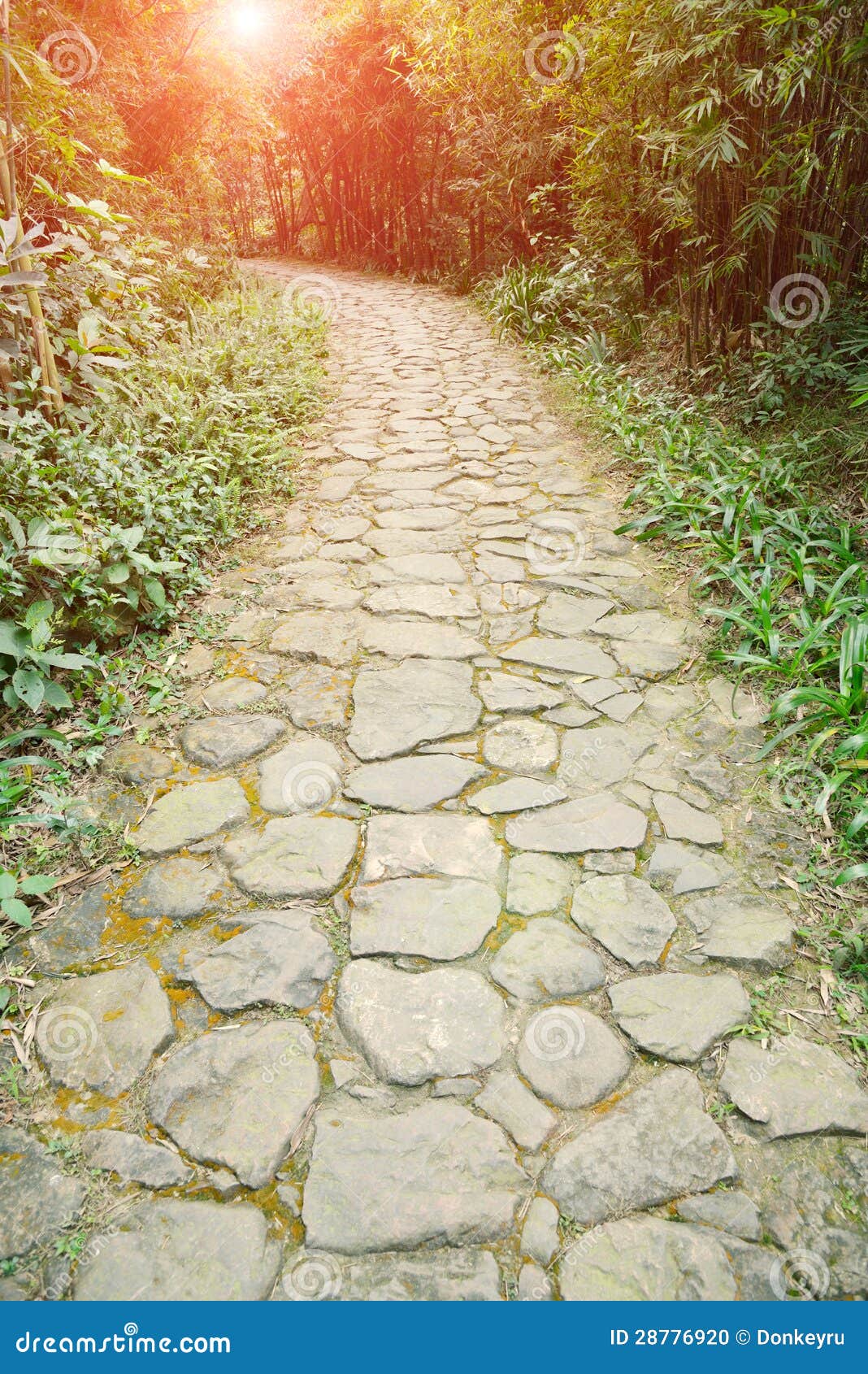 Curving Stone Pavement Footpath Stock Photo - Image of fresh, flower ...