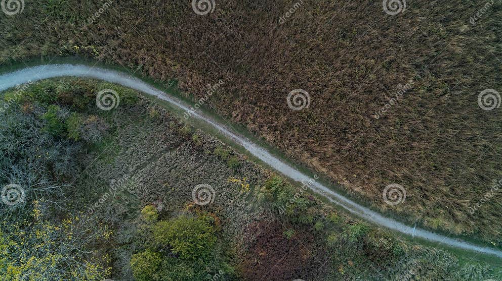 A curving trail in a field stock image. Image of nature - 312366077
