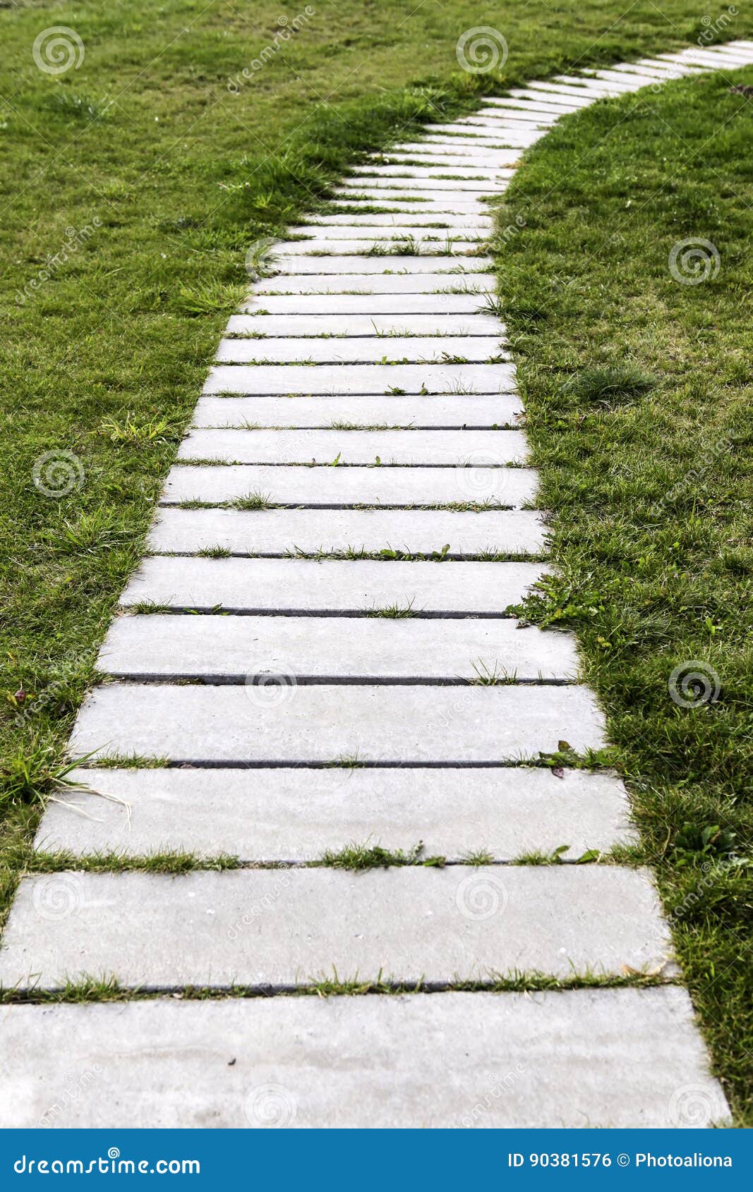 Curving Walking Path in a Forest Stock Photo - Image of landscape ...