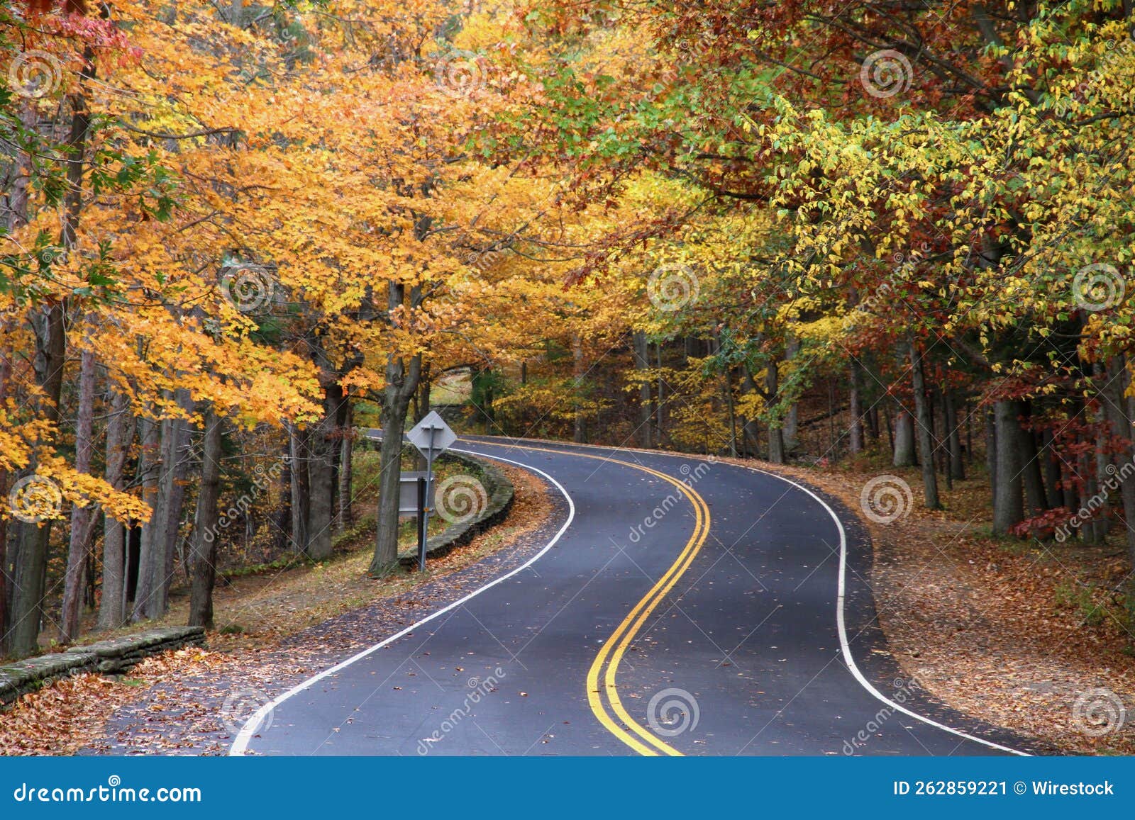 Curvy Asphalt Road with Autumn Trees on the Side Stock Image - Image of ...