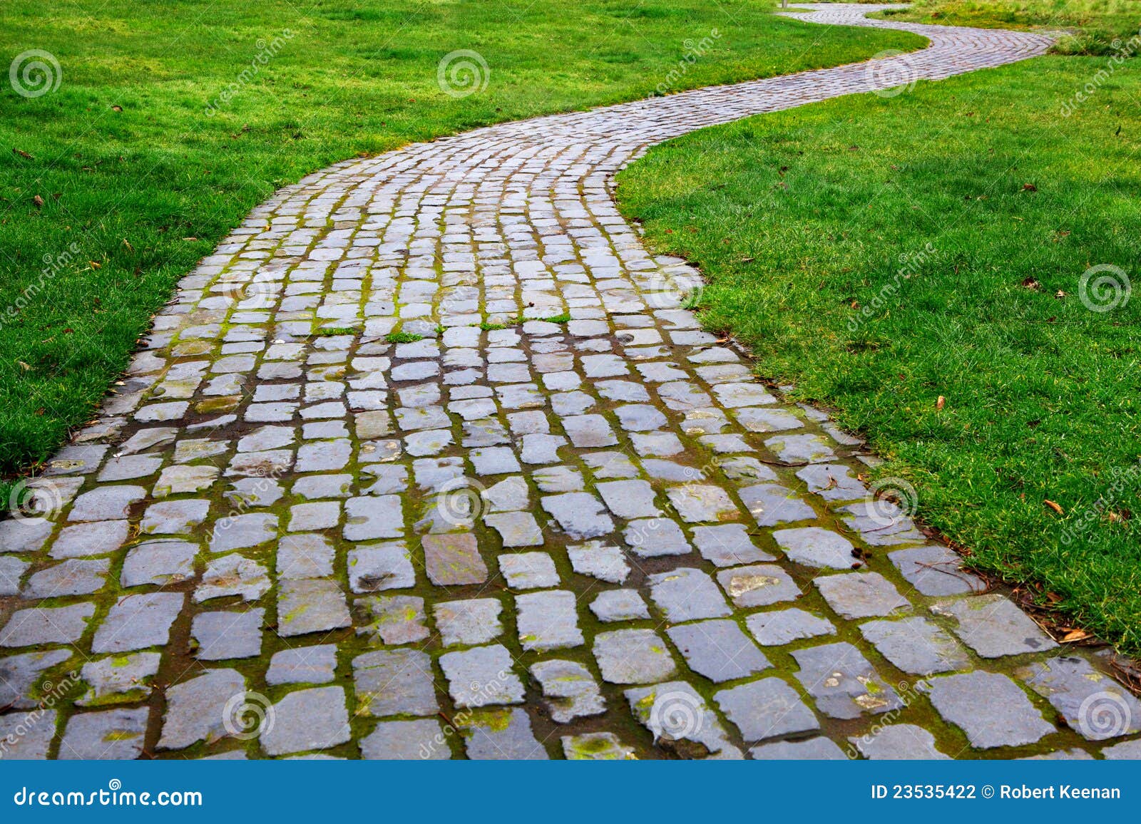 Curvy Brick Path in grass stock photo. Image of road - 23535422
