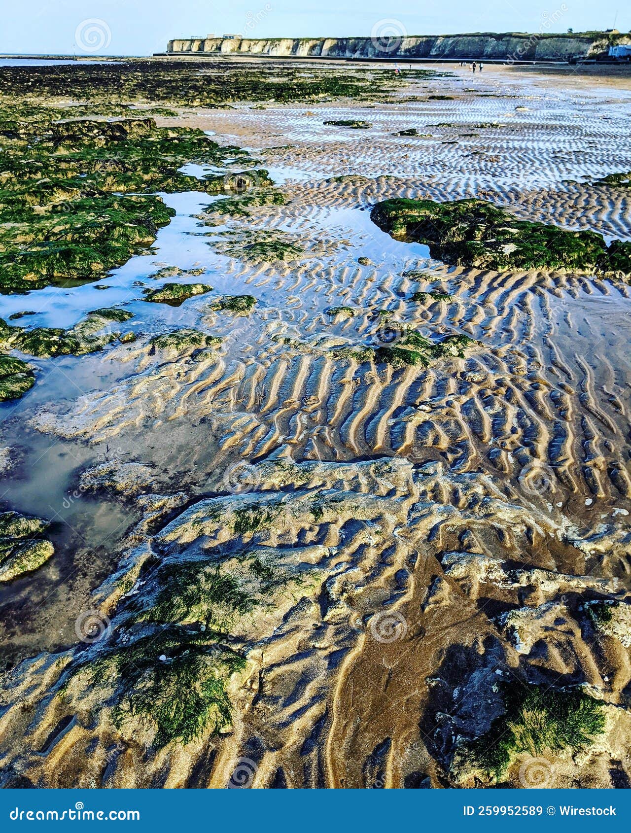 Curvy Ground Surface Covered with Water Near the Beach Stock Image ...