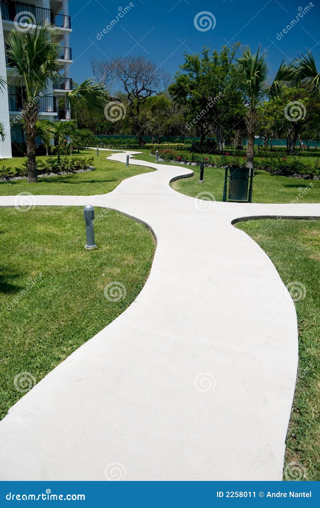 Curvy Path stock image. Image of crossway, decision, sunny - 2258011