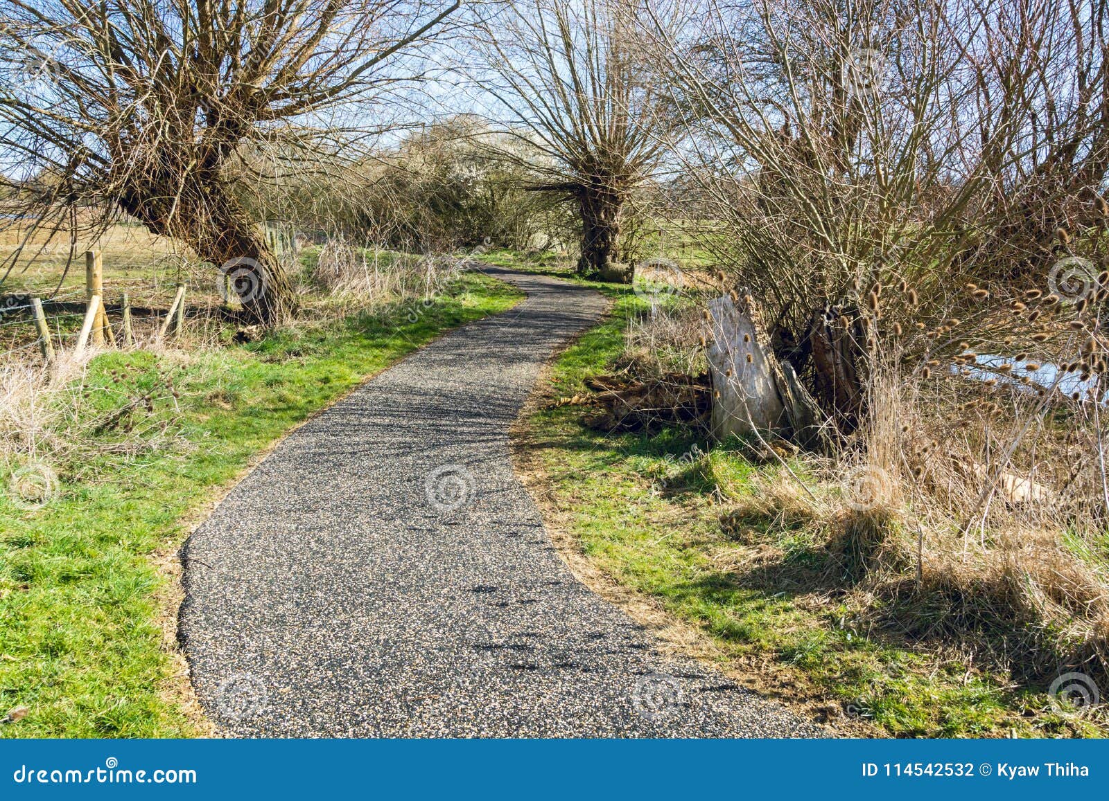 Curvy Path In Tropical Rainforest Stock Photography | CartoonDealer.com ...