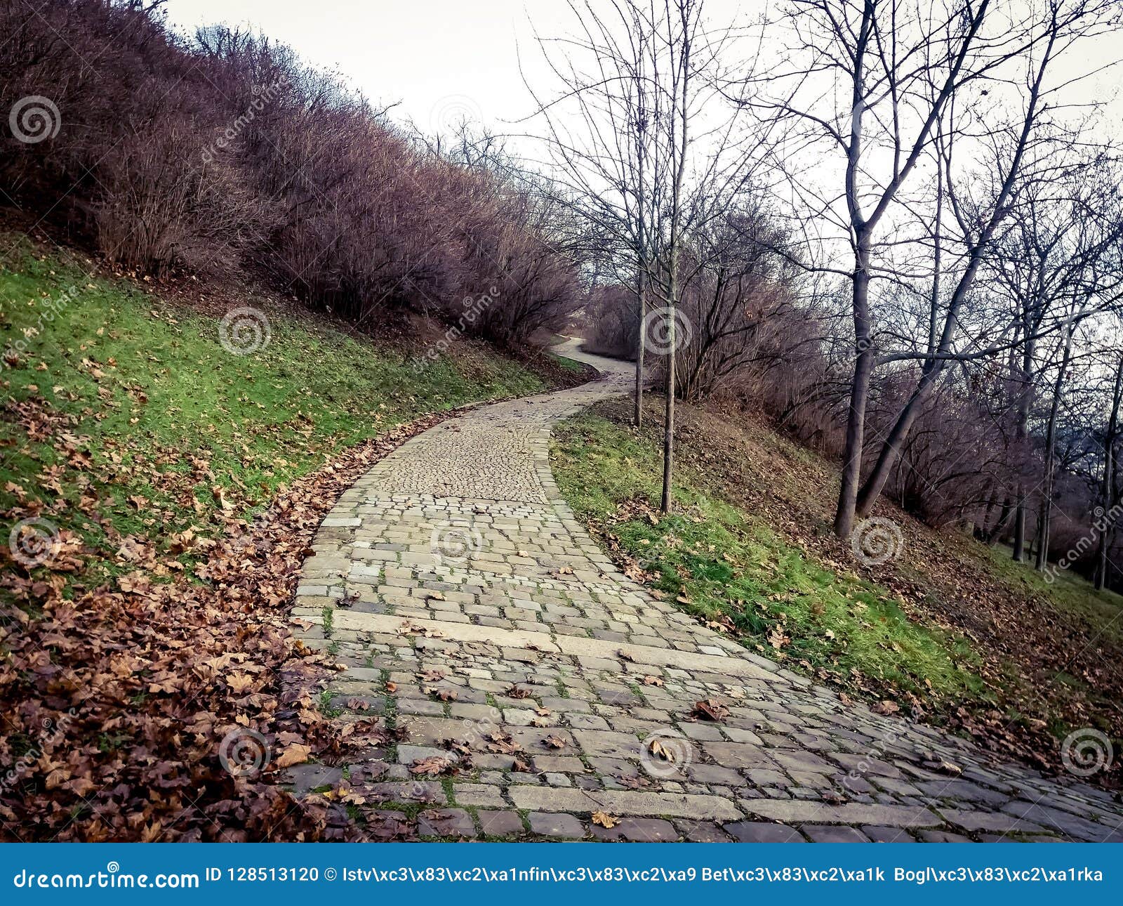 Curvy path stock photo. Image of hill, fall, surrounded - 128513120