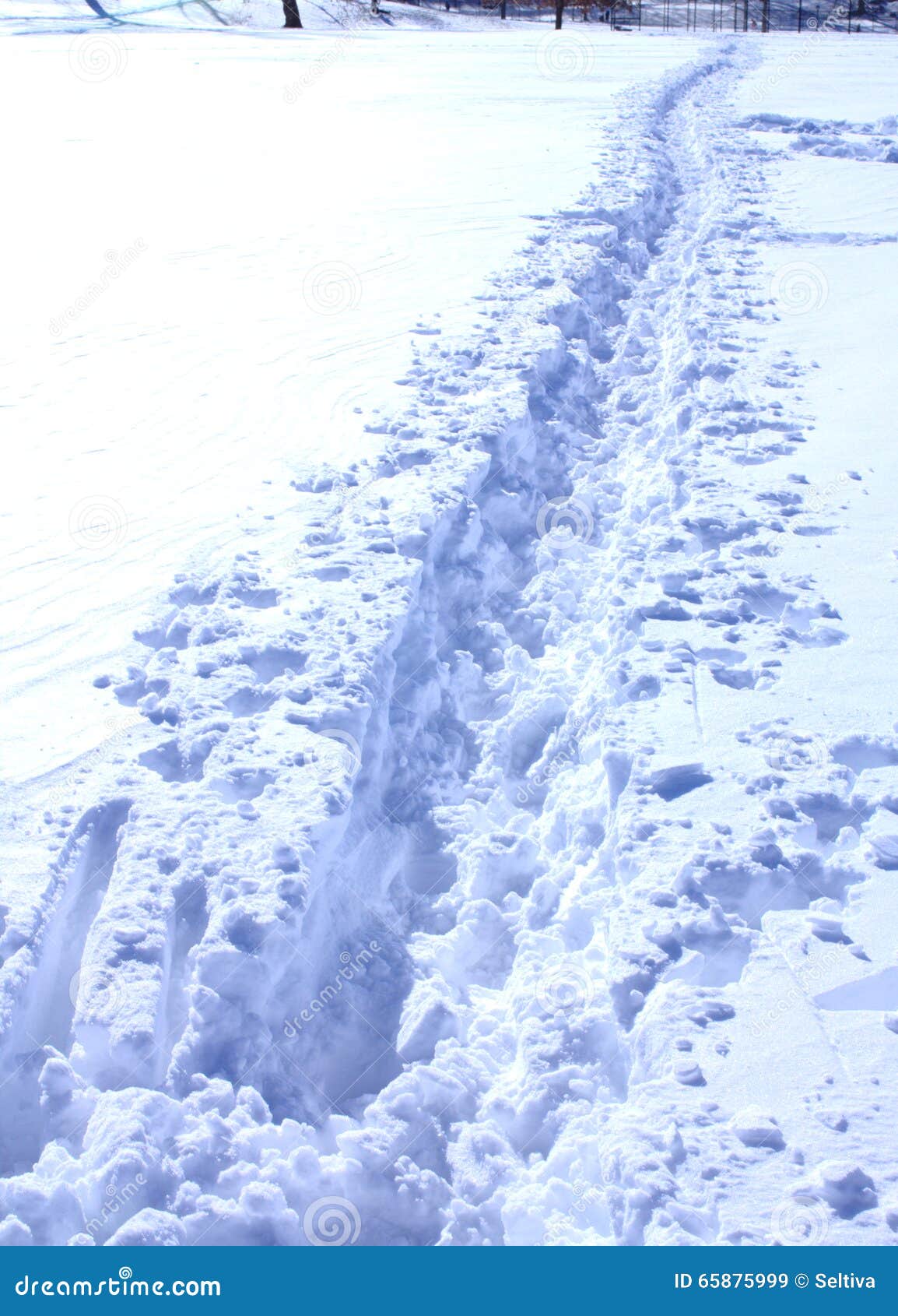 Curvy path in snow stock image. Image of covered, december - 65875999