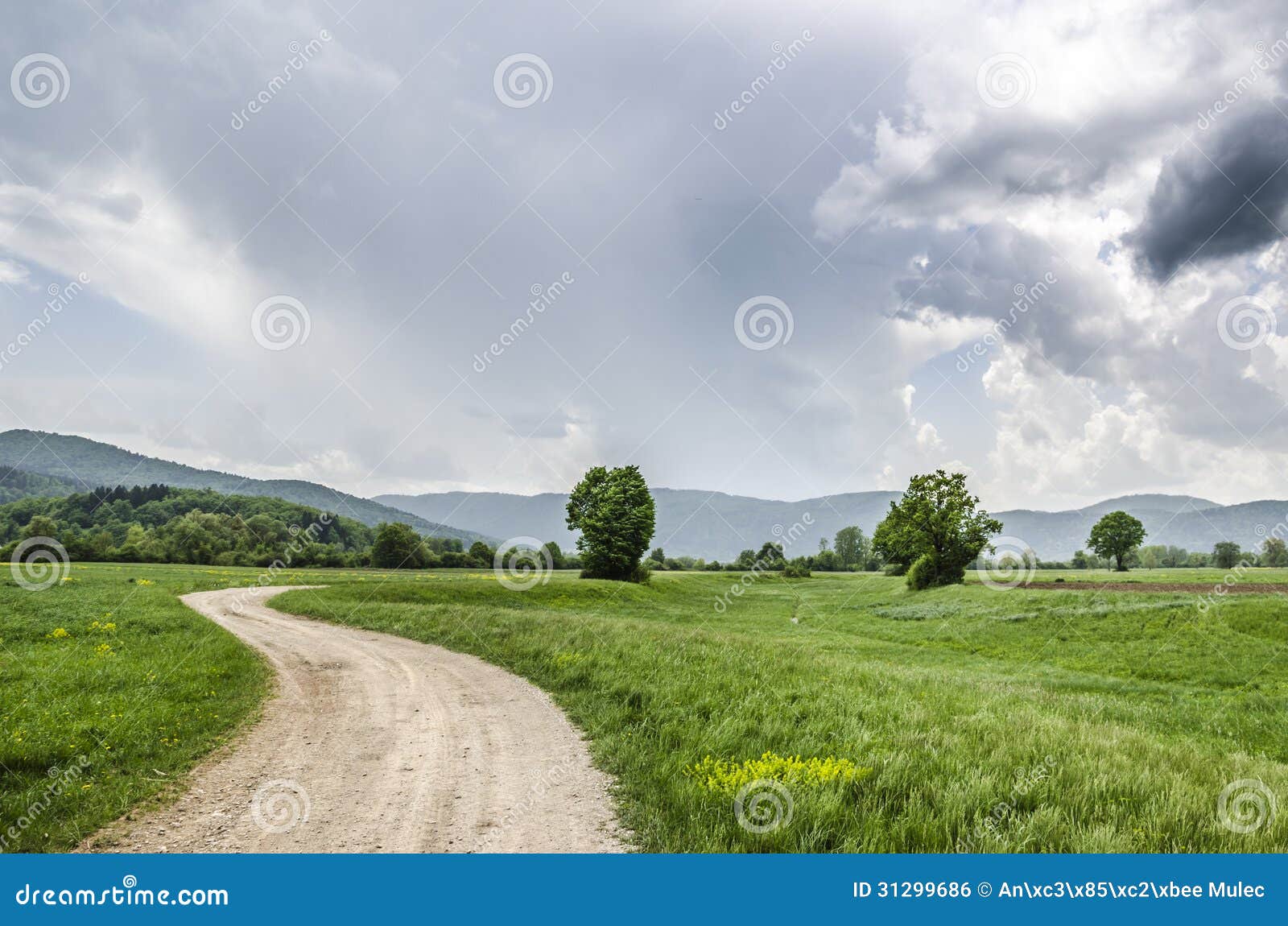 Curvy path stock photo. Image of empty, country, outdoor - 31299686