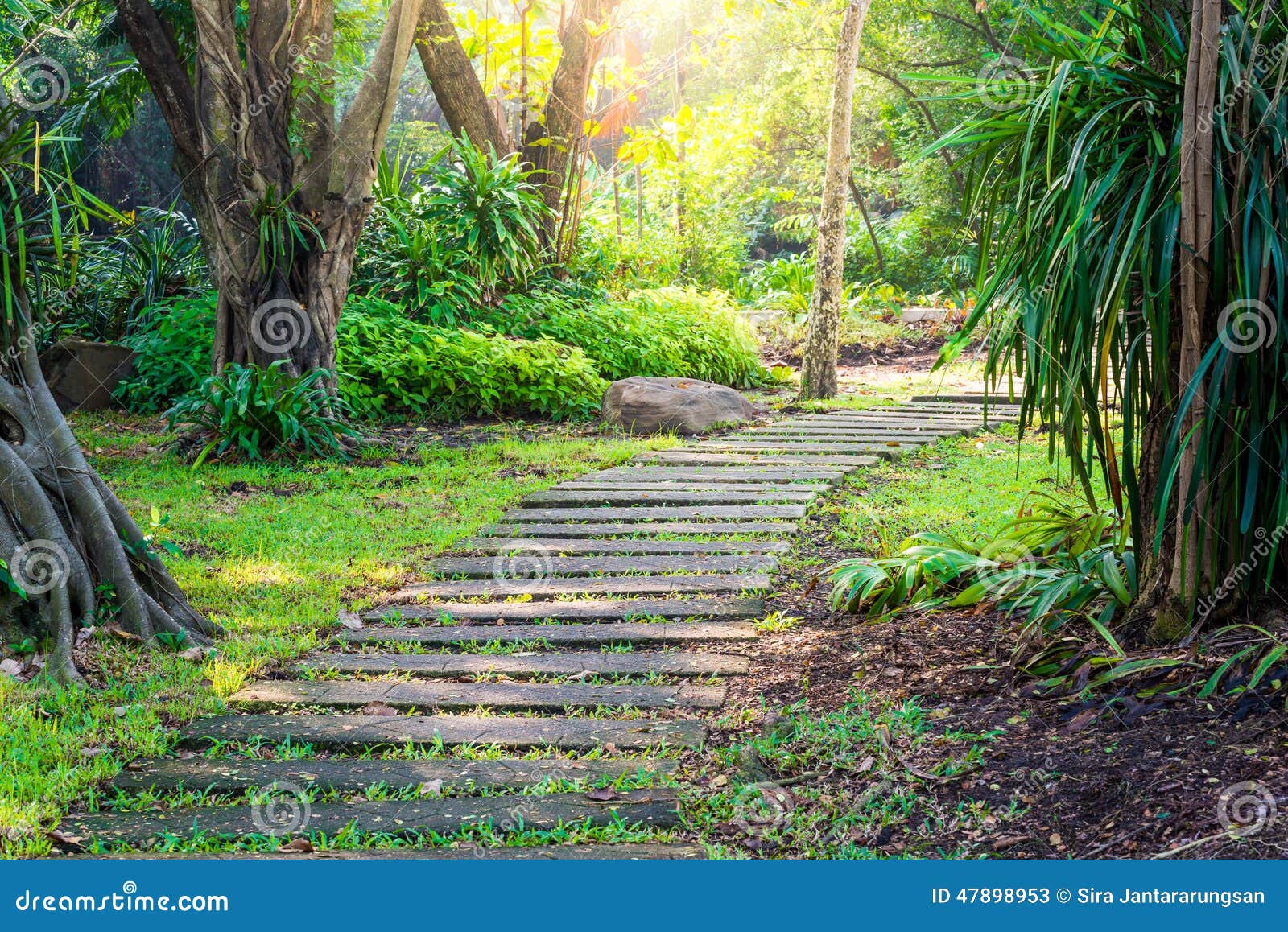Curvy pathway in a Park stock image. Image of outdoor - 47898953