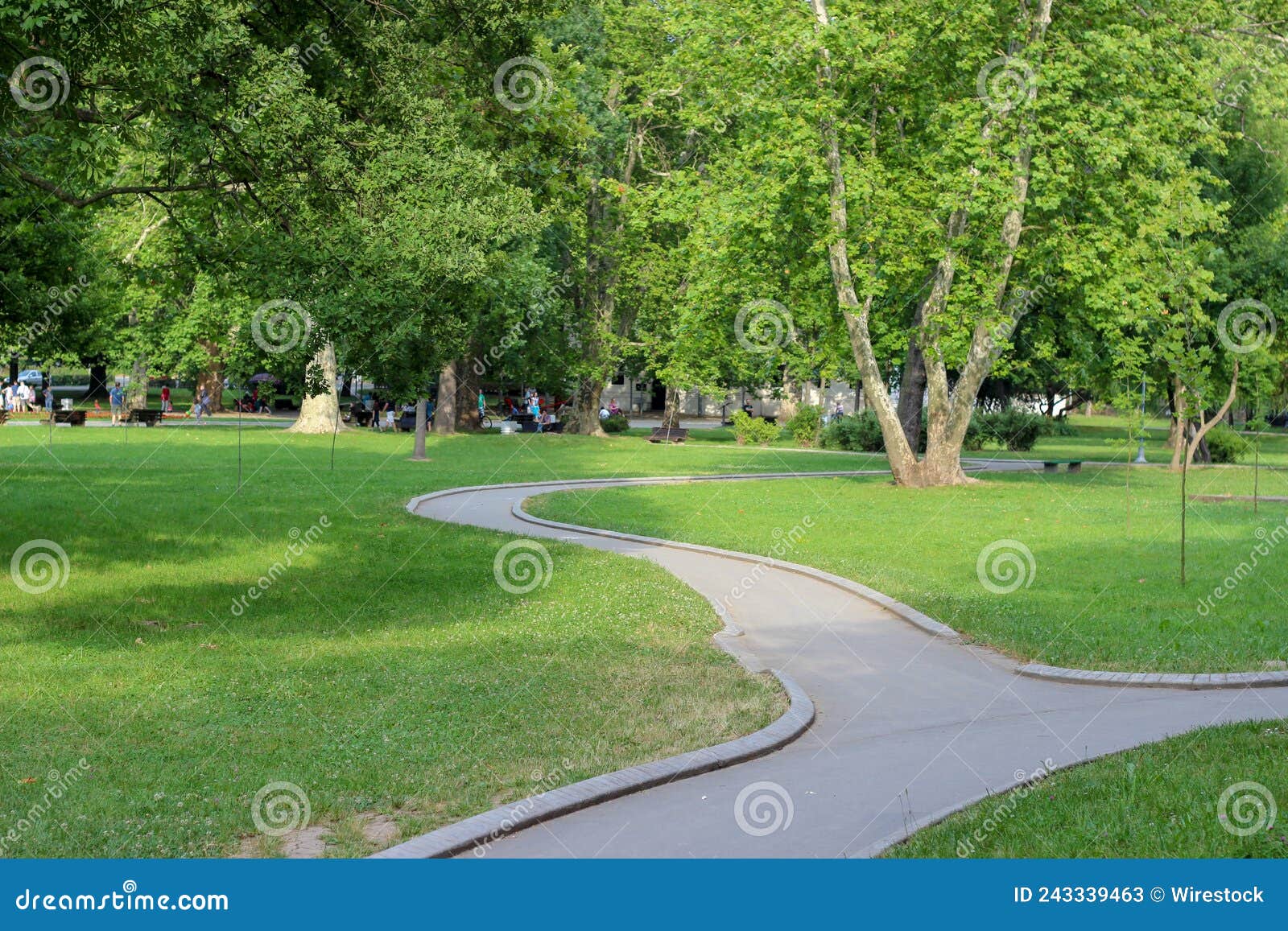 Curvy Pathway in a Park Surrounded by Green Grass and Trees Stock Image ...