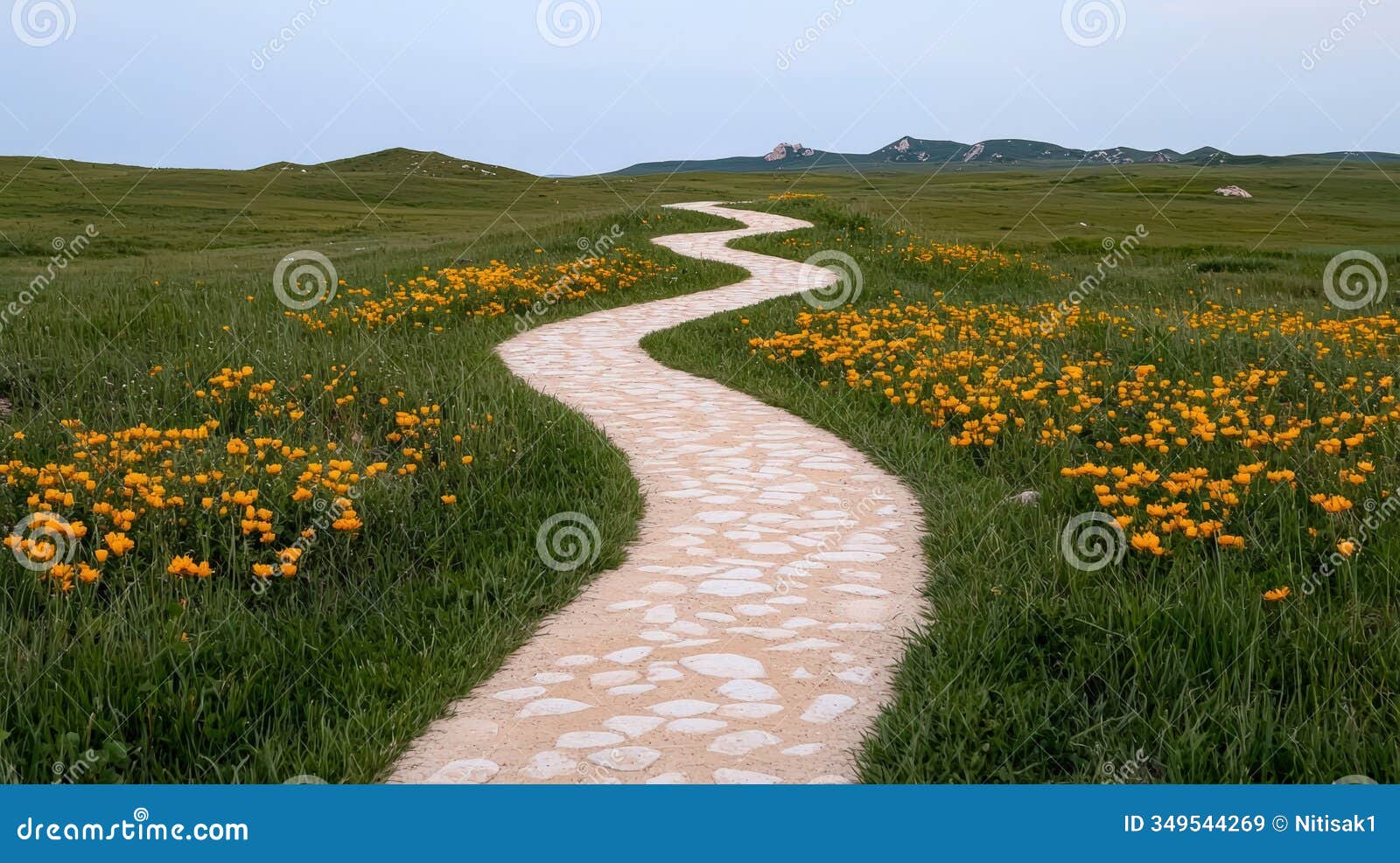 Curvy Vibrant Colourful Abstract Shapes, Design Elements Cartoon Vector ...