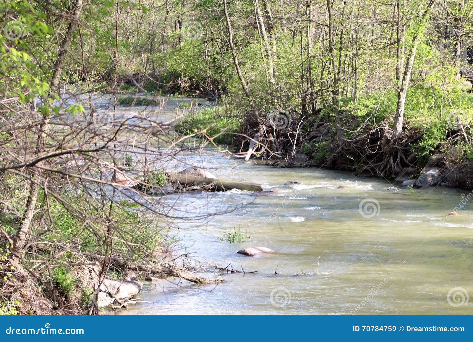 Curvy River Woods Stock Photos - Download 52 Royalty Free Photos