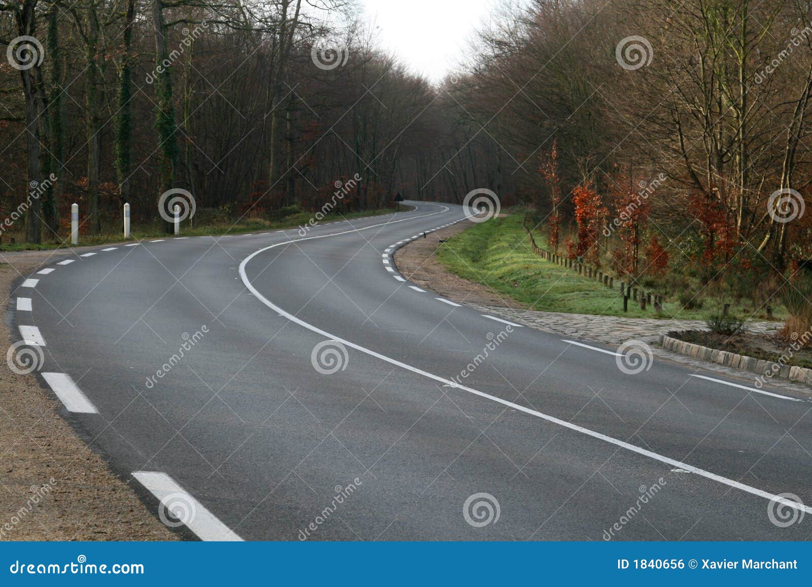 Curvy road stock photo. Image of path, travel, woods, speed - 1840656