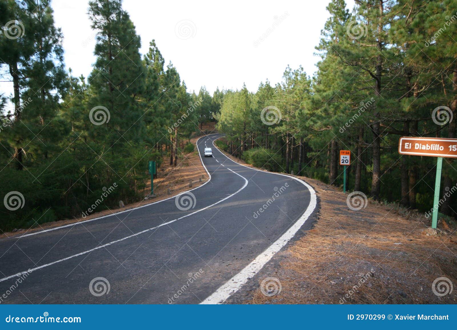 Curvy road stock image. Image of winter, tree, landscape - 2970299