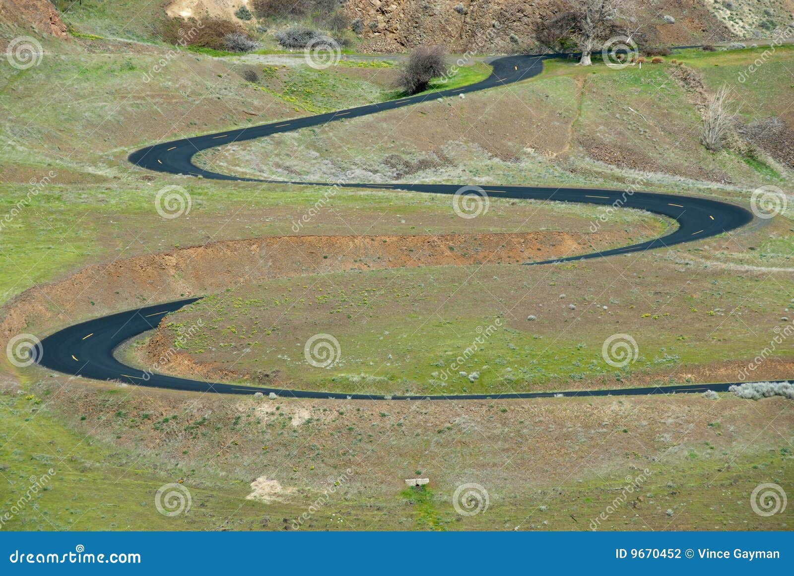 Curvy Road stock photo. Image of curvy, flowers, road - 9670452