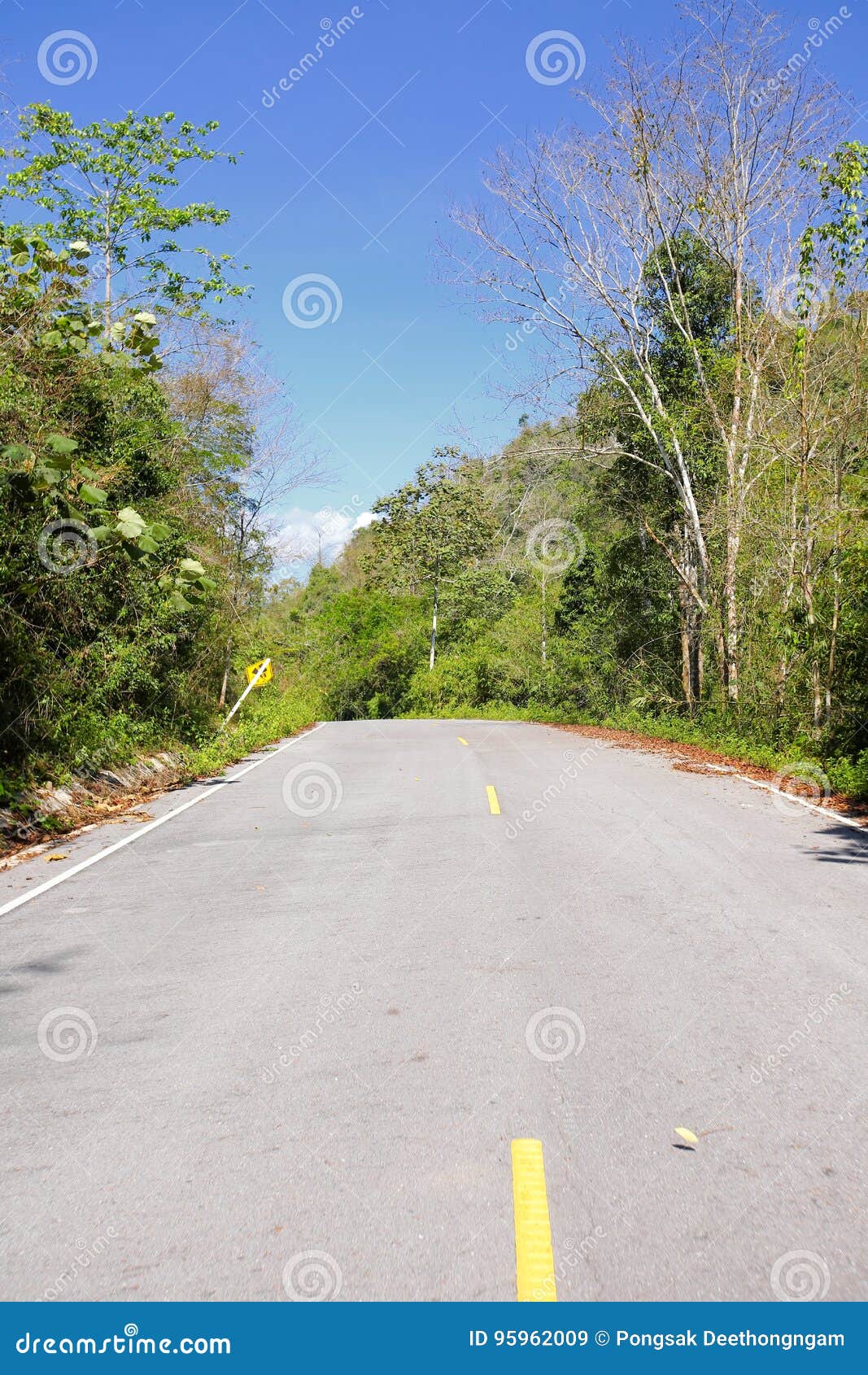 A curvy road stock image. Image of scenic, landscape - 95962009