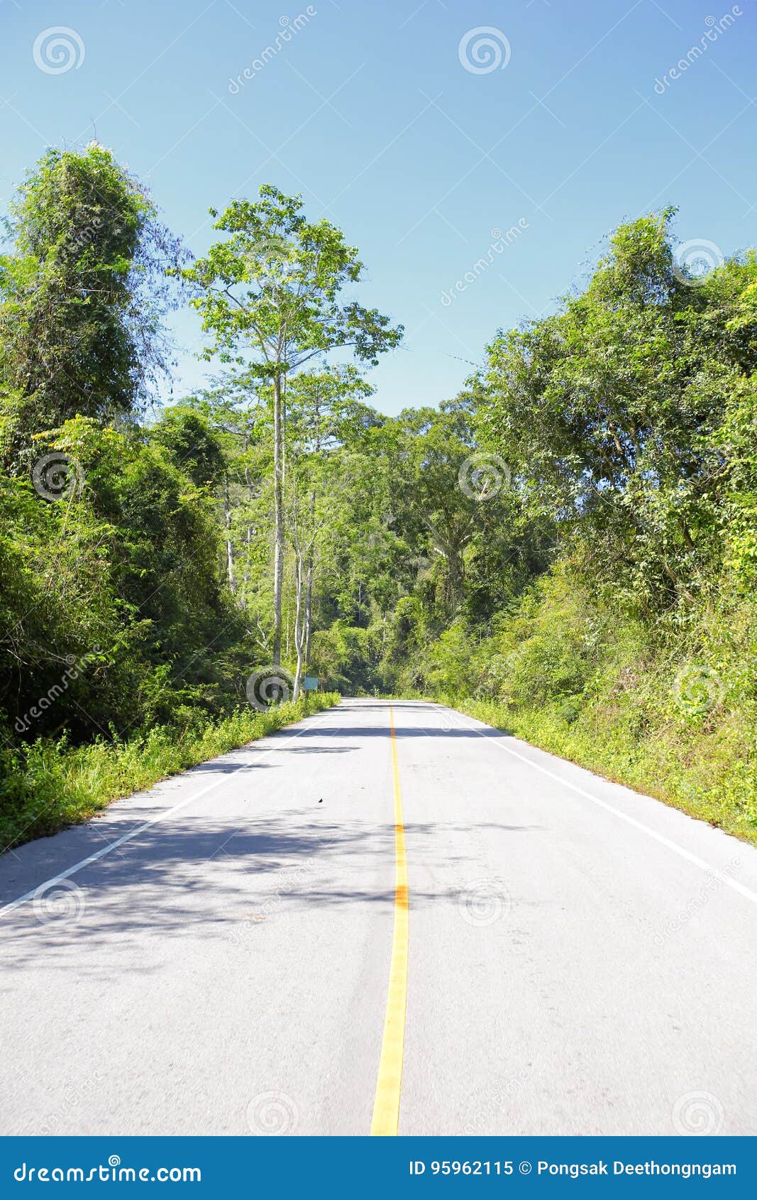 A curvy road stock image. Image of drive, scenic, transportation - 95962115