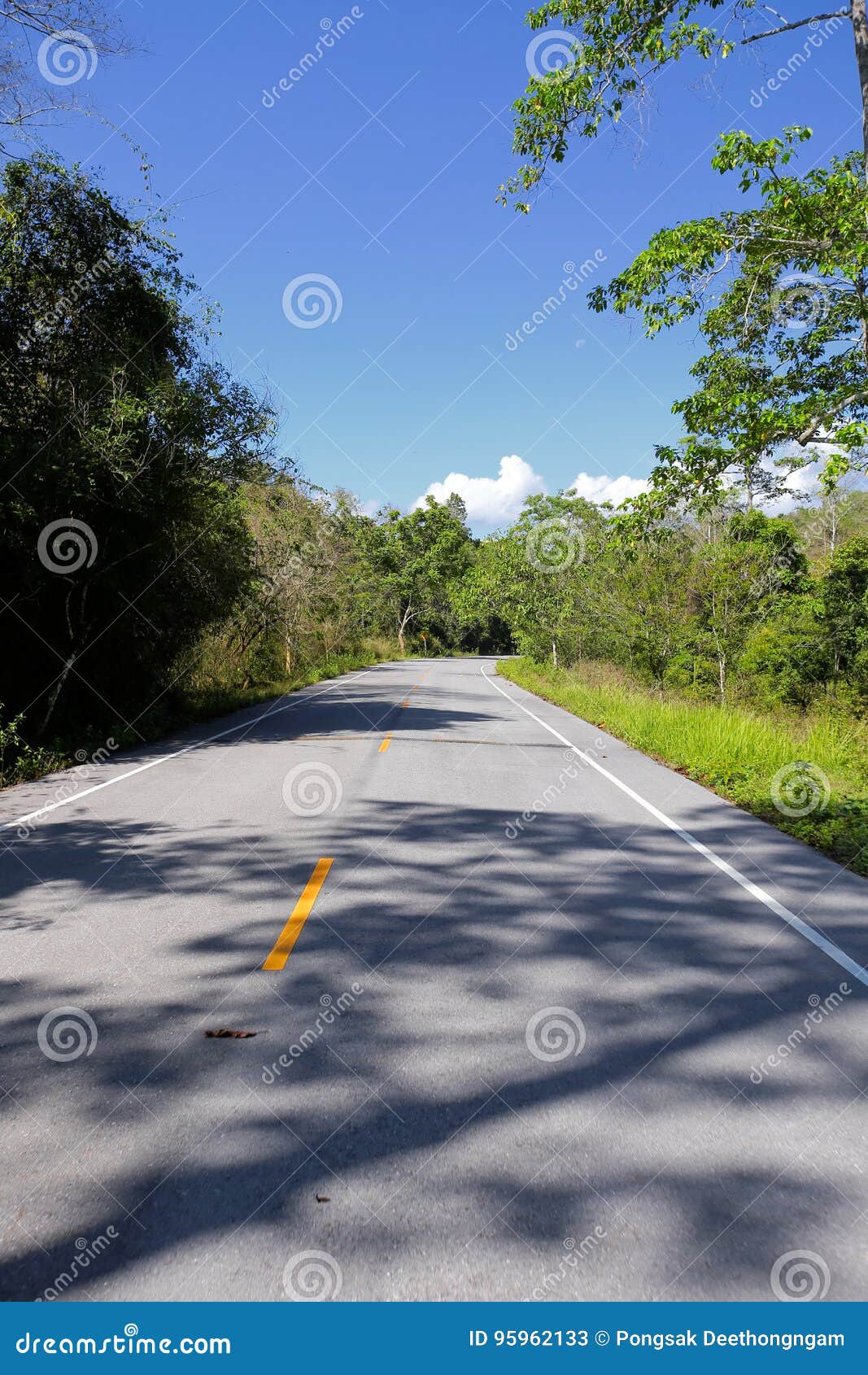 A curvy road stock image. Image of rural, landscape, speed - 95962133