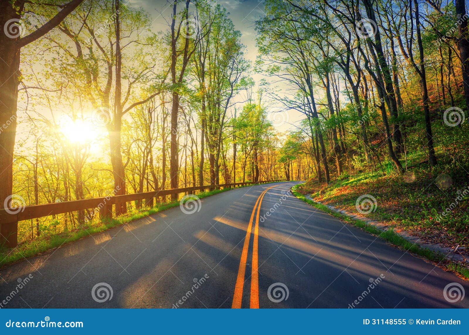 Curvy Road Royalty-Free Stock Photography | CartoonDealer.com #29761667