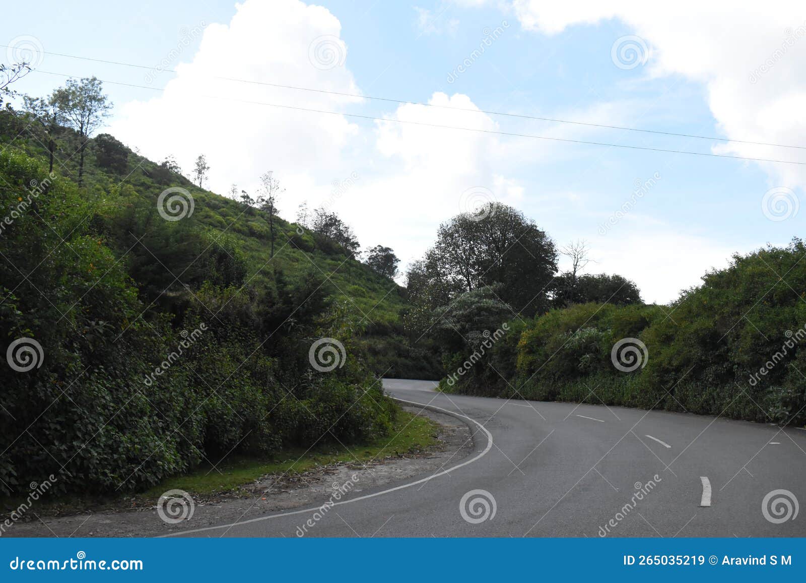 Curvy Road Surrounded by Green Trees Stock Image - Image of black ...