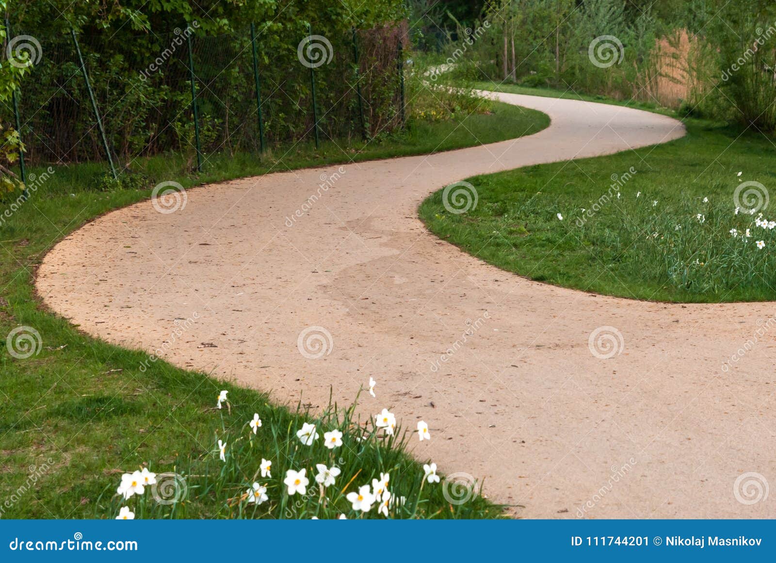 A Sandy Path On An Outer Banks Island Through Tall Marsh Grass Royalty ...