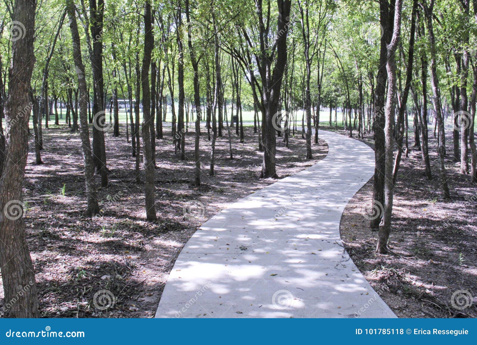 Curvy Sidewalk Path through Trees Stock Photo - Image of middle, curvy ...