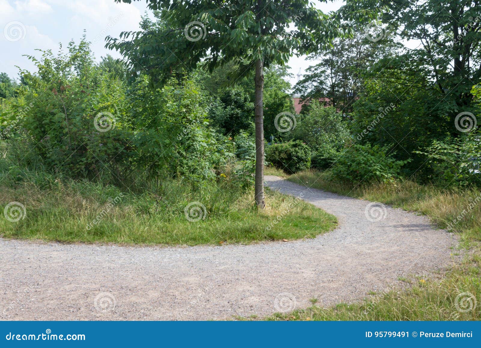 Curvy walk in the park stock image. Image of stone, capitol - 95799491