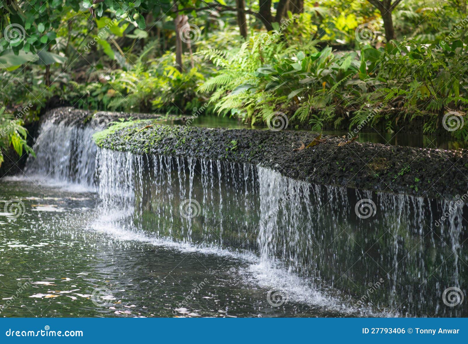 Curvy Waterfall stock photo. Image of botanical, singapore - 27793406