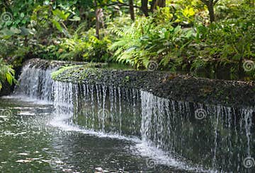 Curvy Waterfall stock photo. Image of botanical, singapore - 27793406