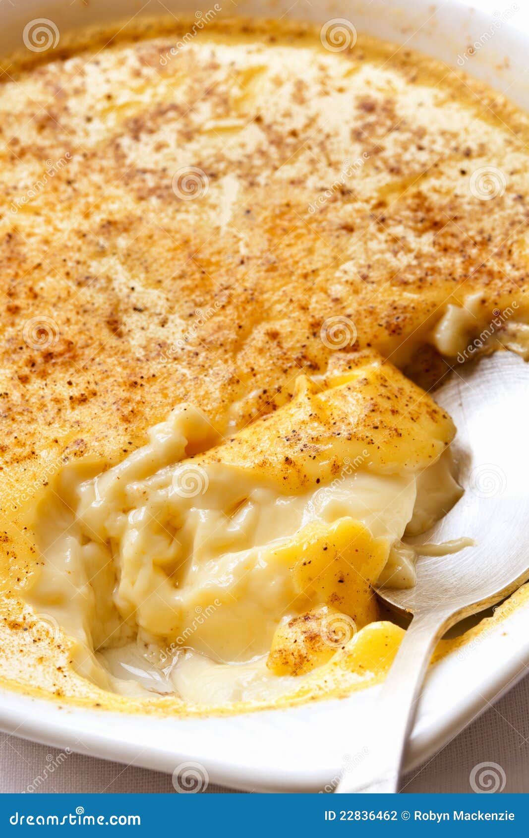 Custard stock photo. Image of nutmeg, eating, cooking - 22836462